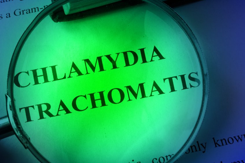 Chlamydia trachomatis : causes, symptômes, complications, traitement ...